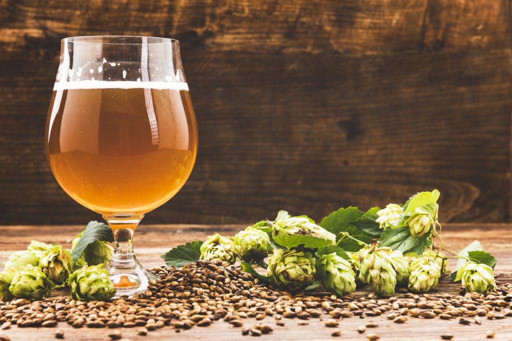 IPA Day Brasil entra para calendário permanente de Ribeirão Preto